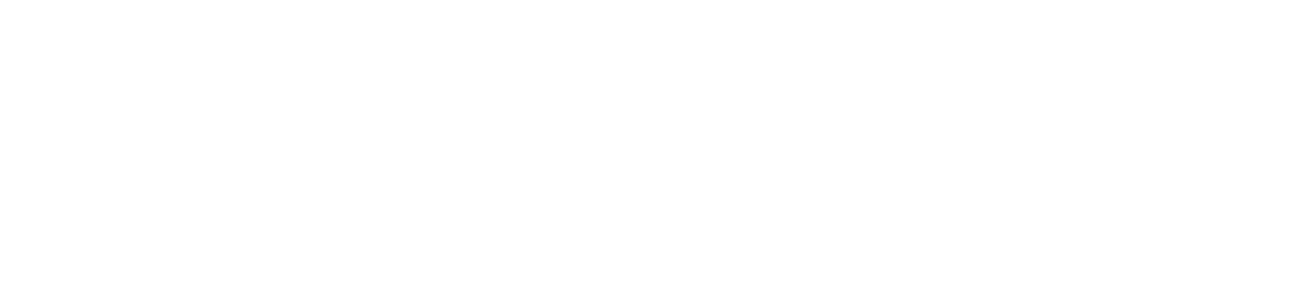 V TREDEX DMCC